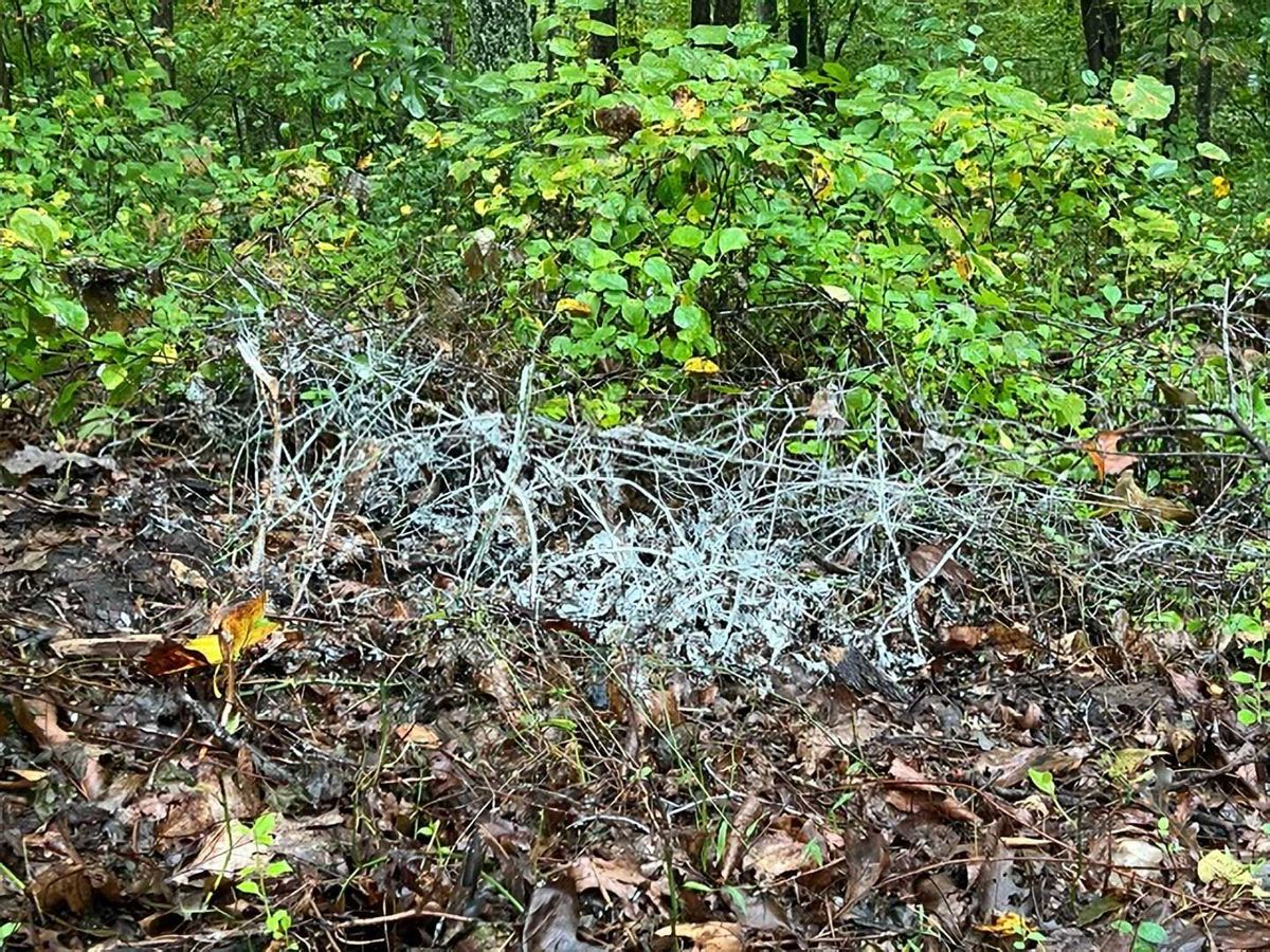 Letter: Clean up your act