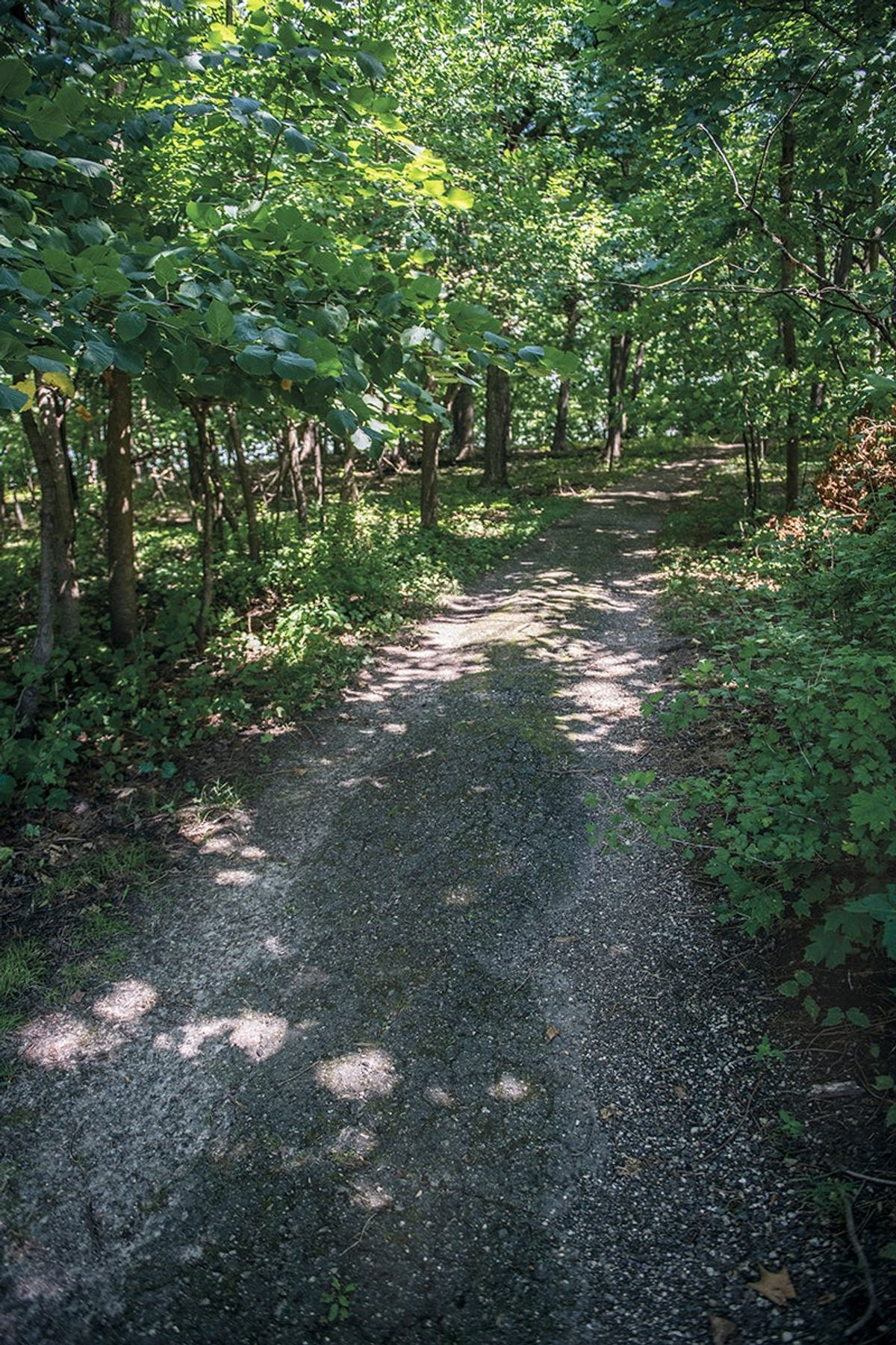 DNR to offer free entrance to state parks and recreation are...
