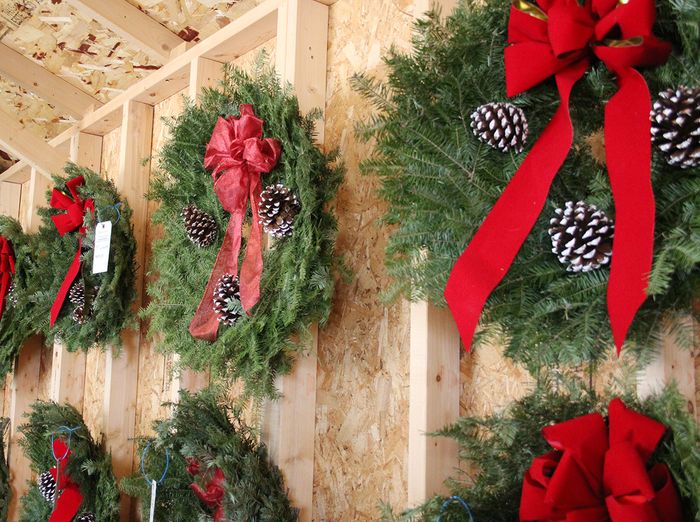 Joining the family business: Albert Lea family opens Minneso...