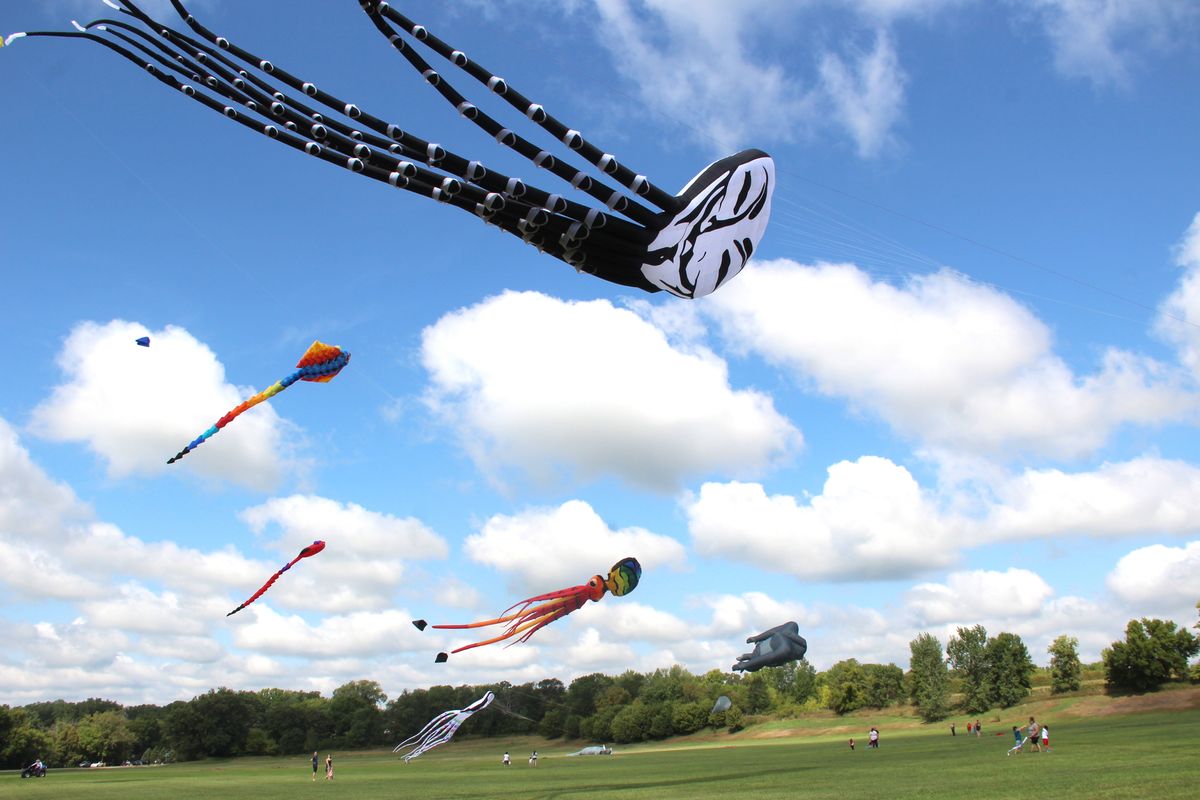 5 things to do this week: Kite festival, Cruise to the Cove ...