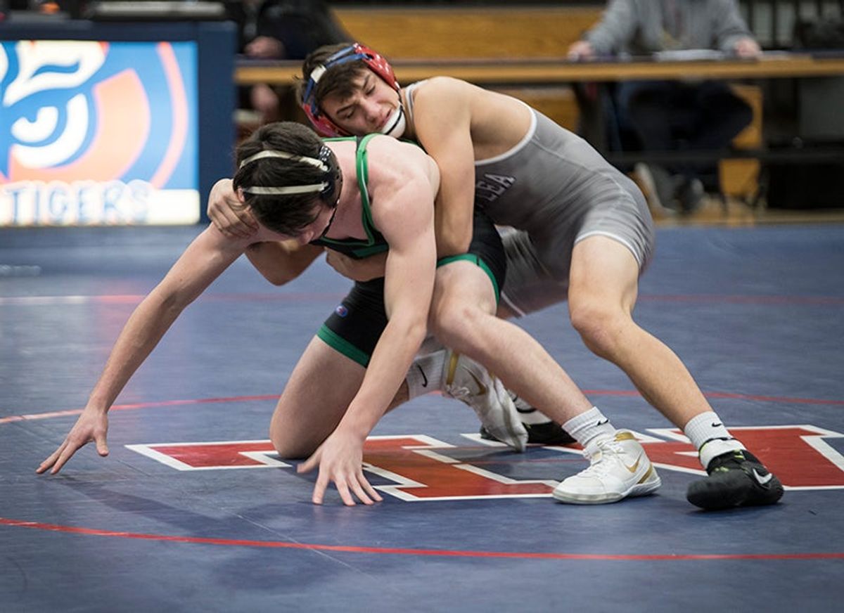 Tigers maim the Falcons to start sections