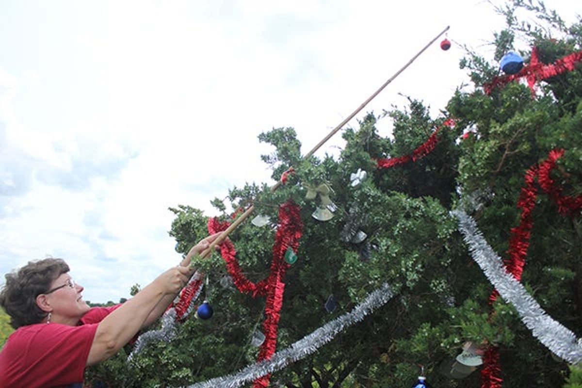 It's always Christmas for sideways pine tree