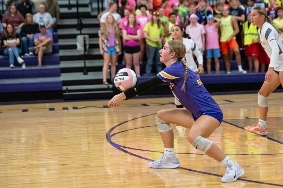 Area volleyball roundup: Bulldogs are now 17-2 overall; USC falls to A...