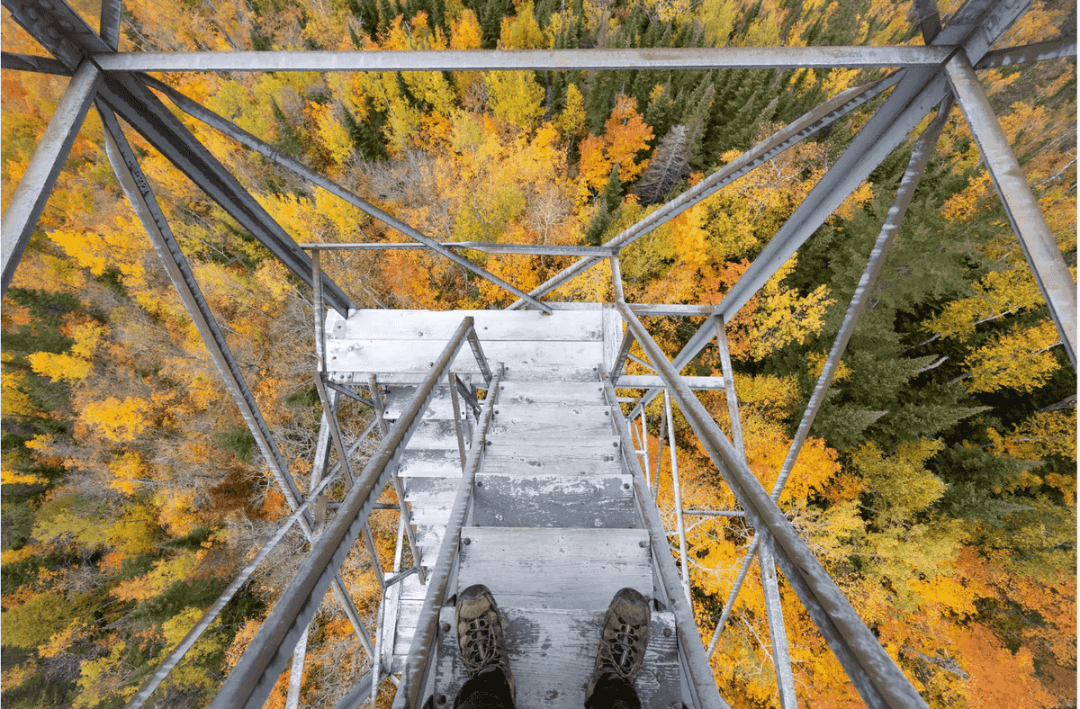 Let the hues begin: Fall foliage colors coming to Minnesota in 3, 2, 1...