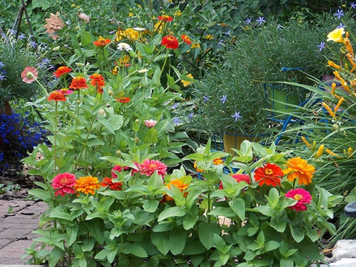A mix of perennials, annuals and biennials ensure color year-round