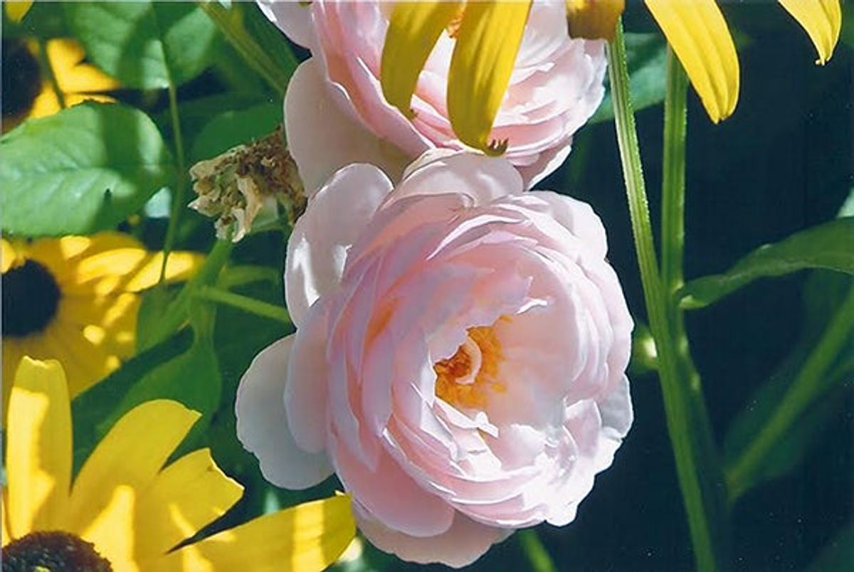 The smells of spring are on the way