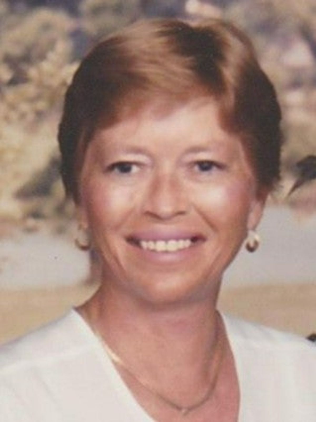 Shirley Joan VandeBrake