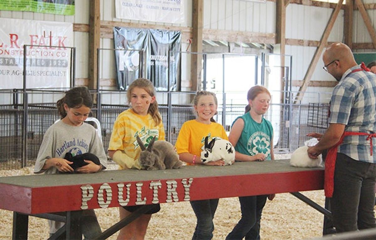 Area fair season begins with Worth County Fair