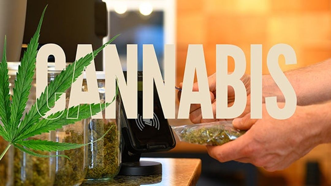 Council likely to consider expanding retail cannabis registrations in ...