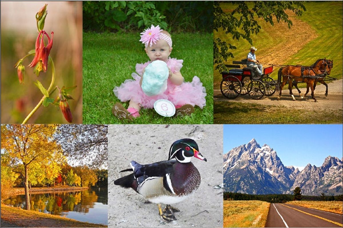 Art Center will showcase the work of a local photography clu...