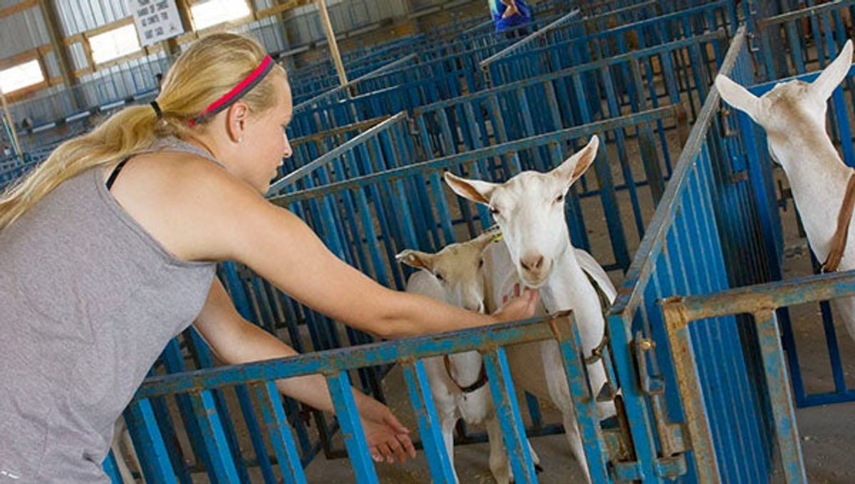 Area residents gear up for start of the Freeborn County Fair