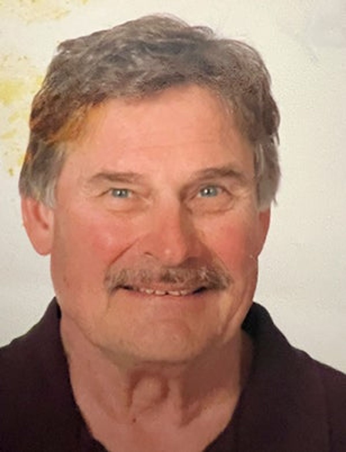 Meet the ALHS Hall of Fame inductee: Roy Nystrom