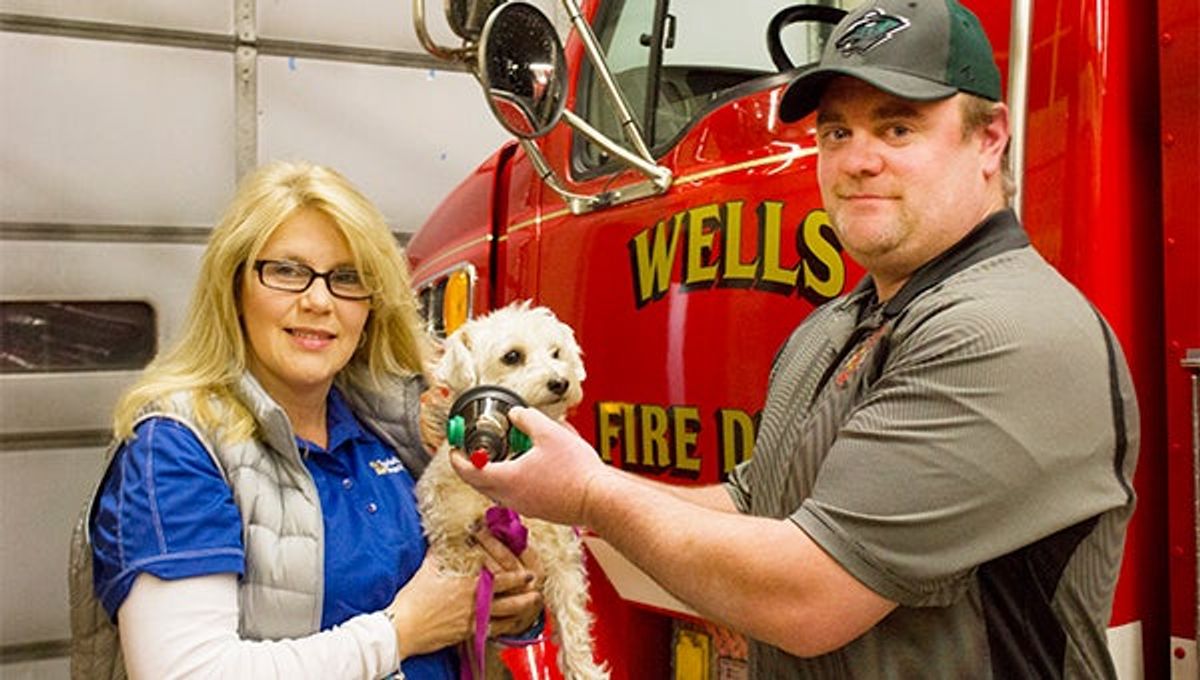 Wells fire department receives donation of animal oxygen masks