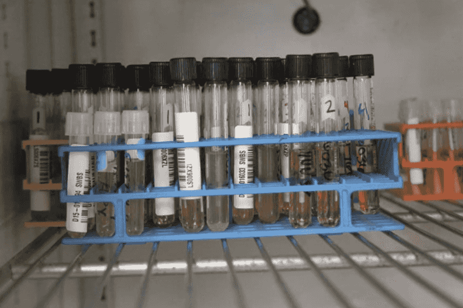 Trump administration scales back threats to cut off funding to Minneso...