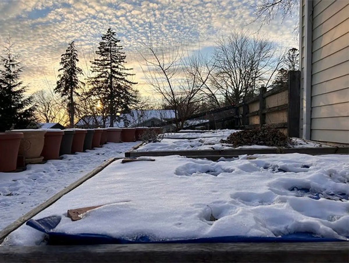 How the lack of snow and cold snaps this winter 'burn' garde...