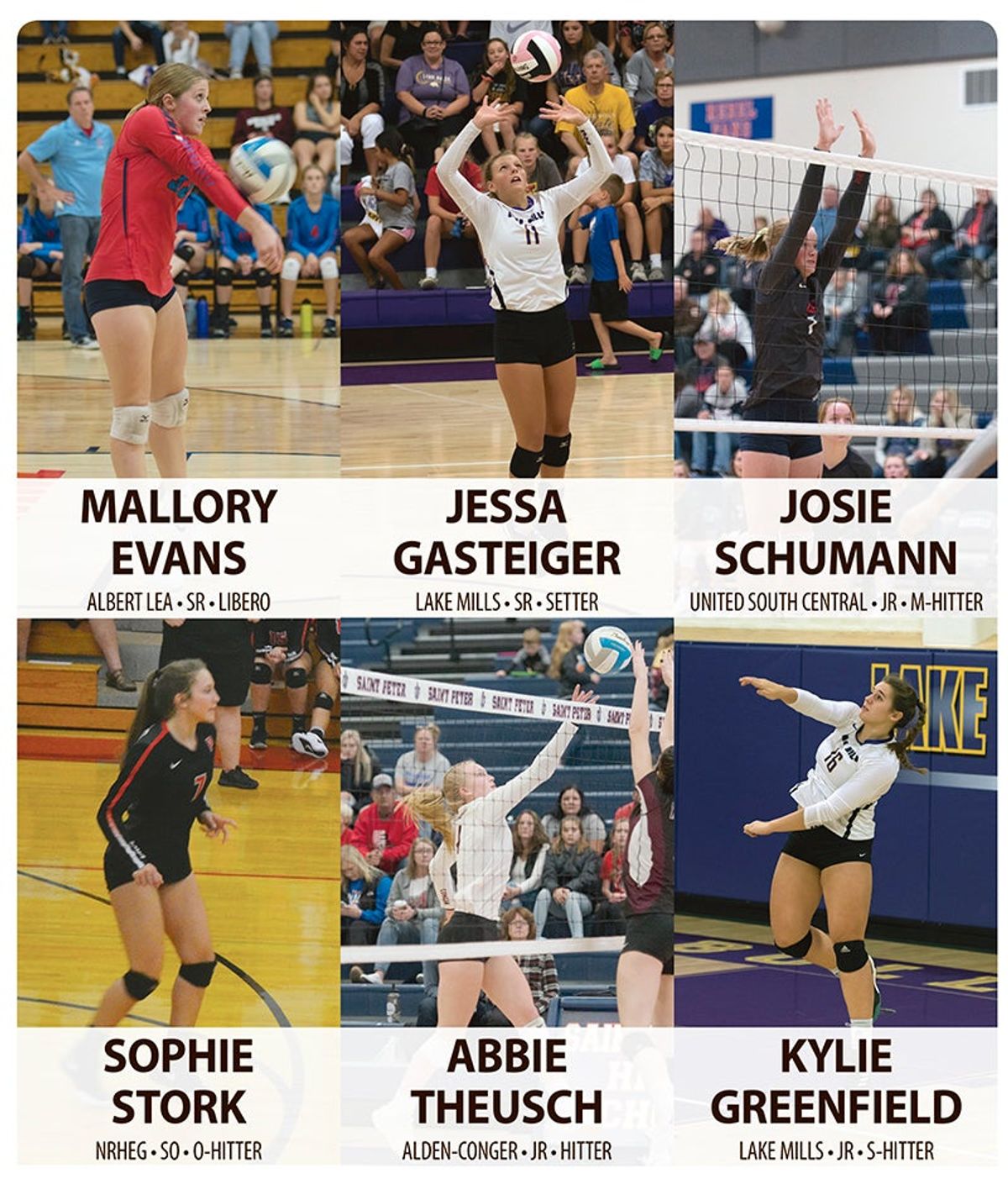 Tribune announces First Team All-Area softball