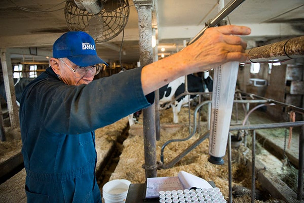 Oldest milk tester in the nation is still working at almost ...