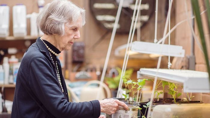 The Woodland Voice of Louise Wrinkle's Garden