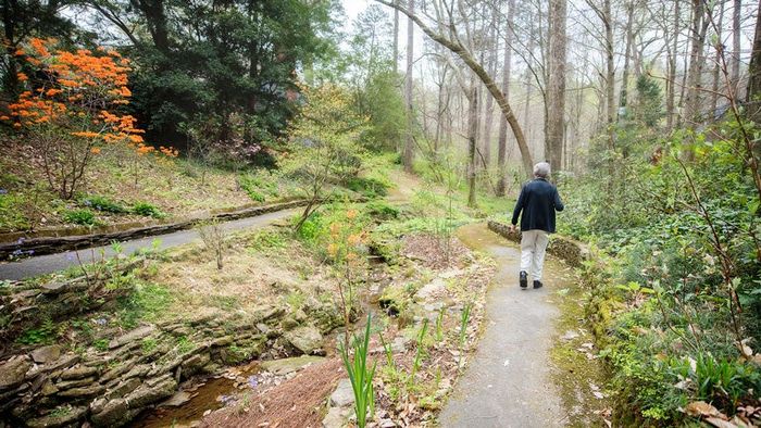 The Woodland Voice of Louise Wrinkle's Garden