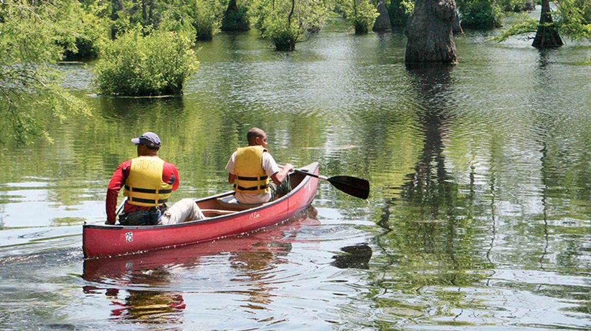 Merchants Millpond State Park to celebrate 50 years