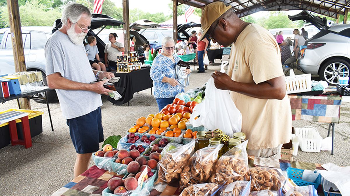 Tomato Sandwich Day returns to busy Valley Farmers Market