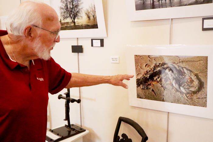 Discover Southeast Missouri’s wild side through Don Lloyd’s spontaneou...