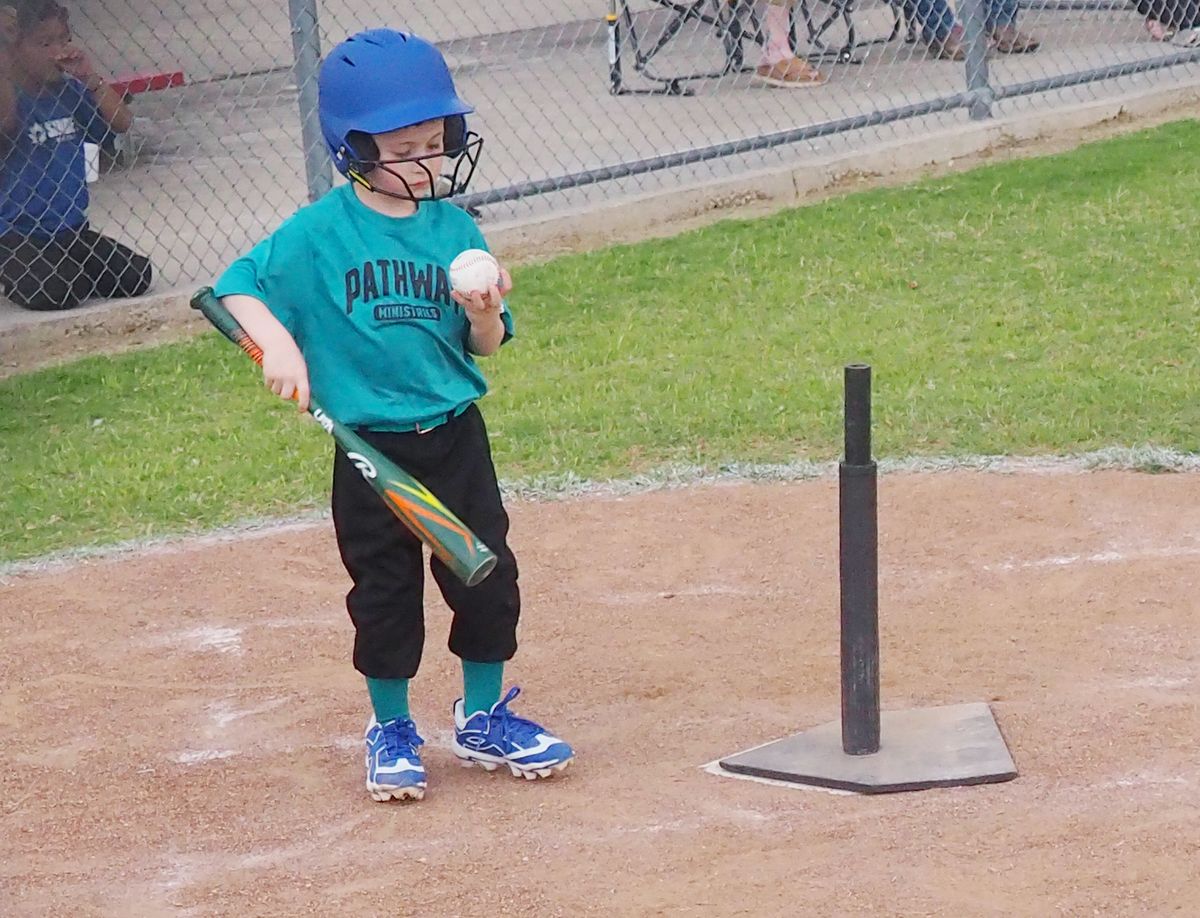 Let's Play Ball
