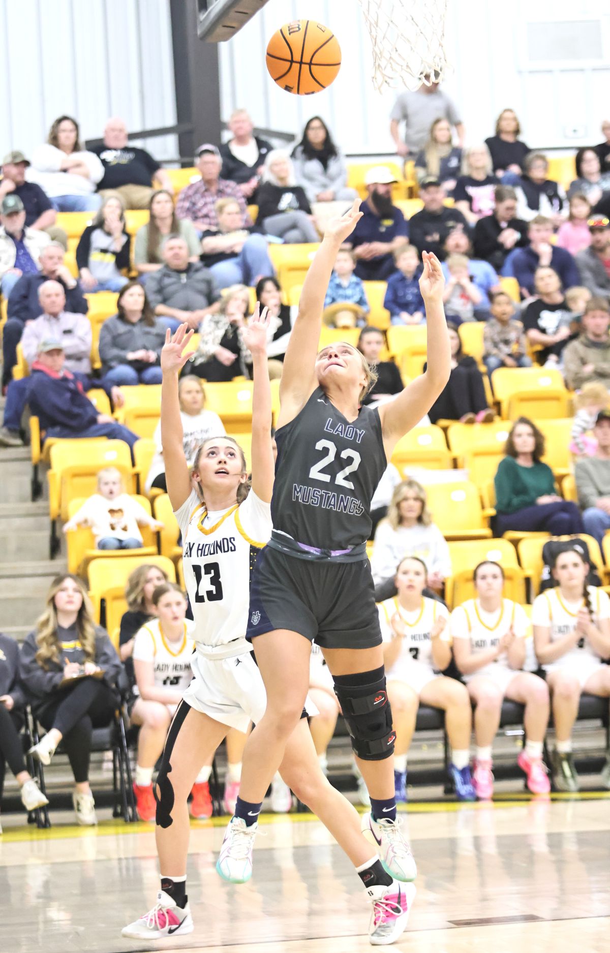 2A at Sloan-Hendrix: Lady Mustangs fall to Sloan-Hendrix in quarter-fi...