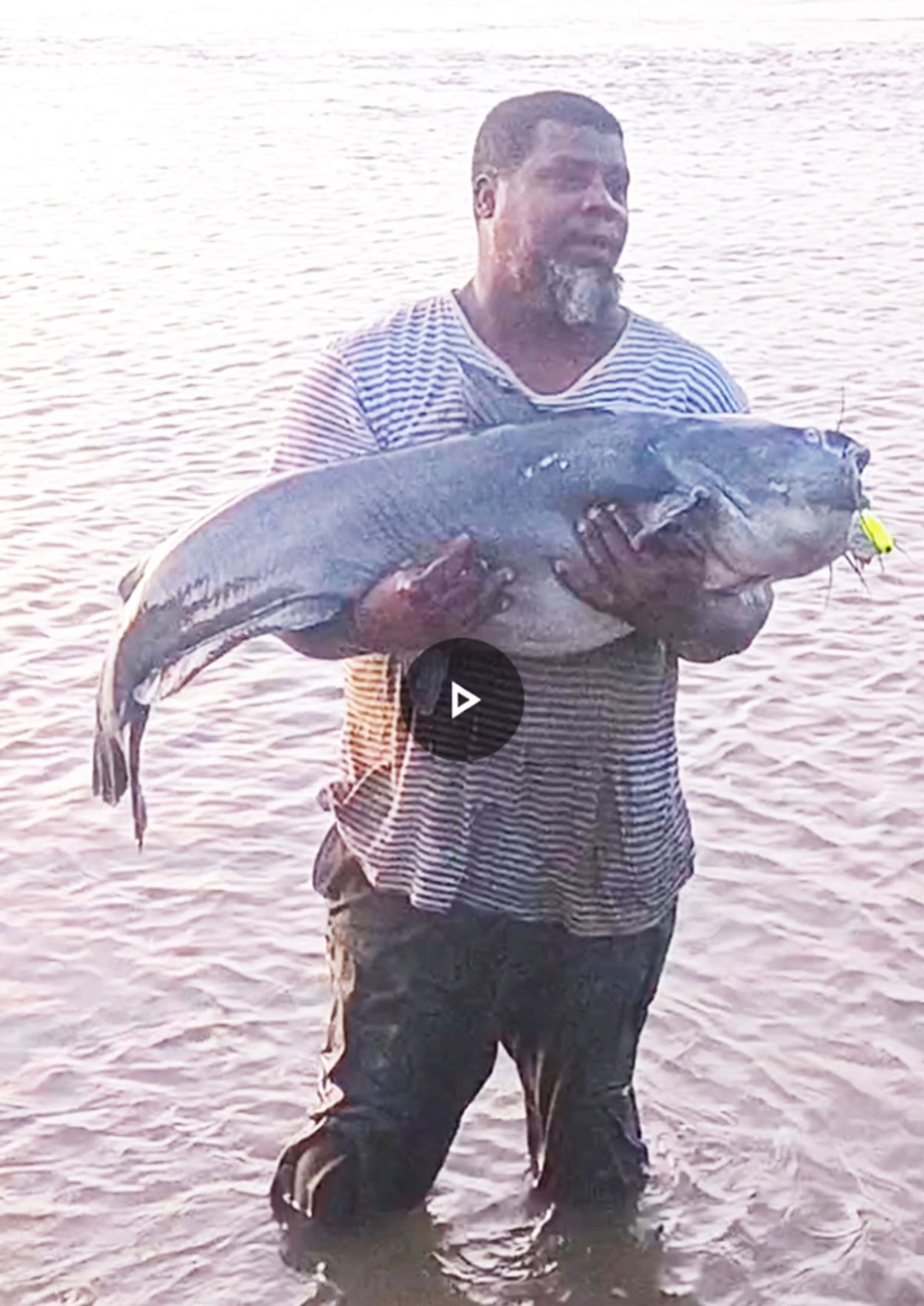 Perry catches the granddad fish