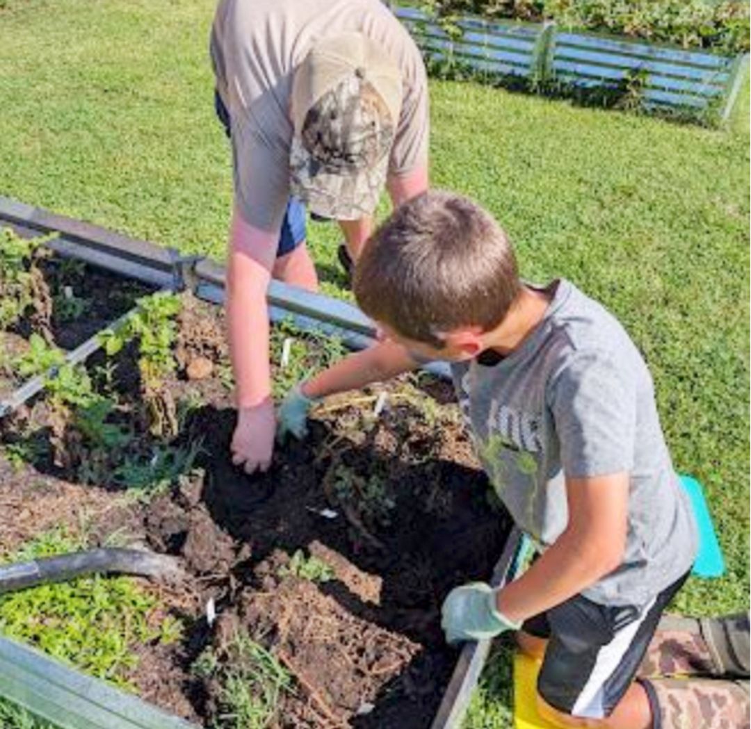Spring Planting: Cooper named Mississippi County MG of the Year