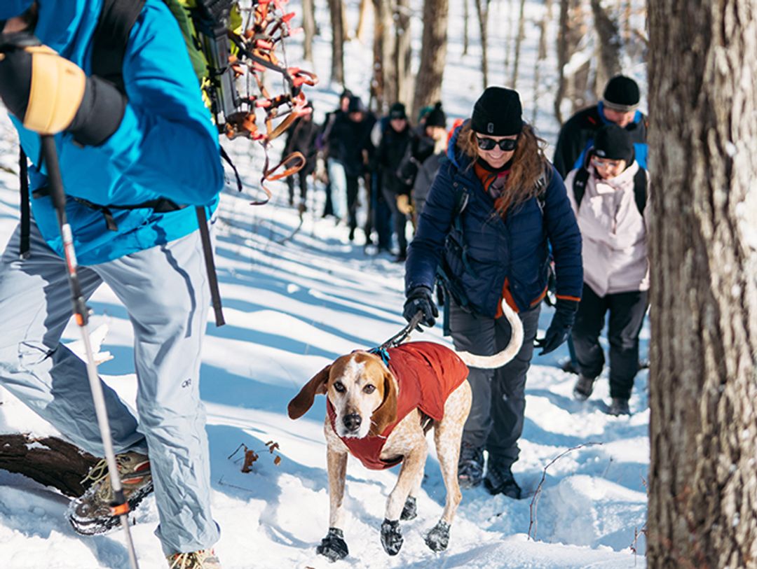 More than 73,000 Ring in America’s 250th with First Day Hikes in State...