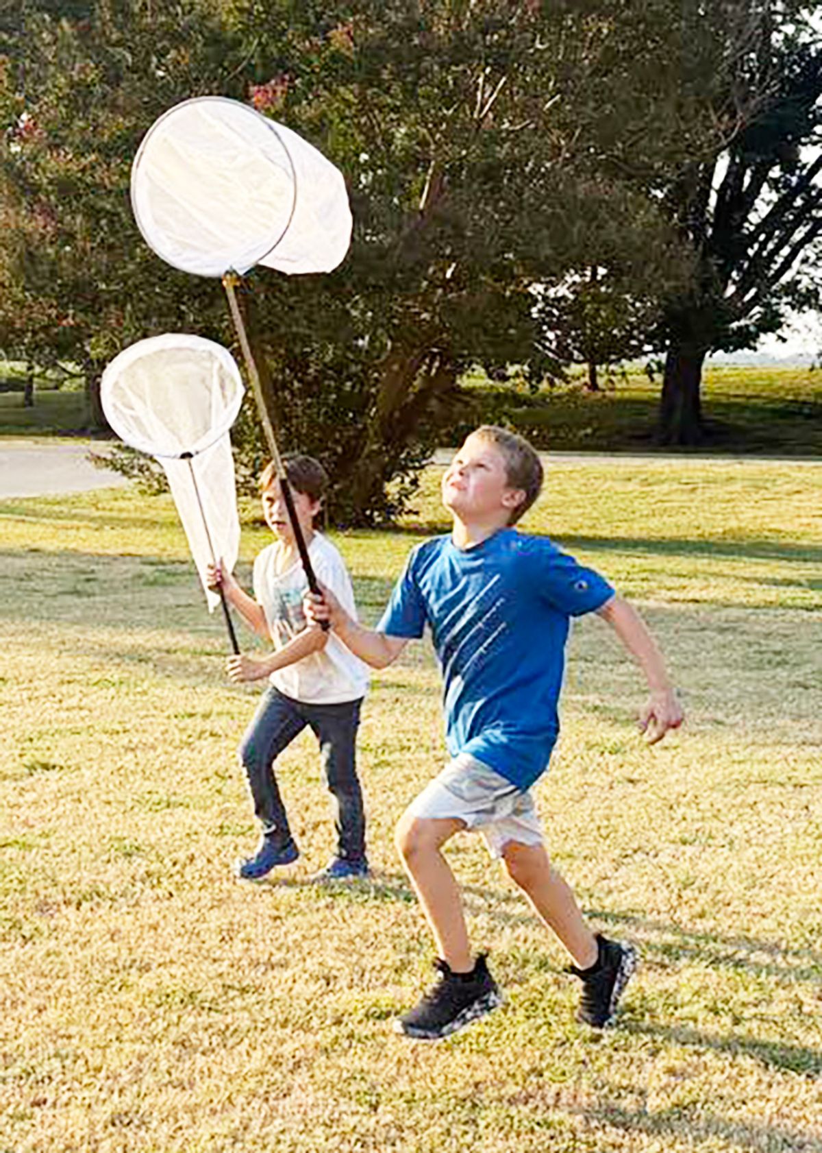 4-H'ers go on bug hunt