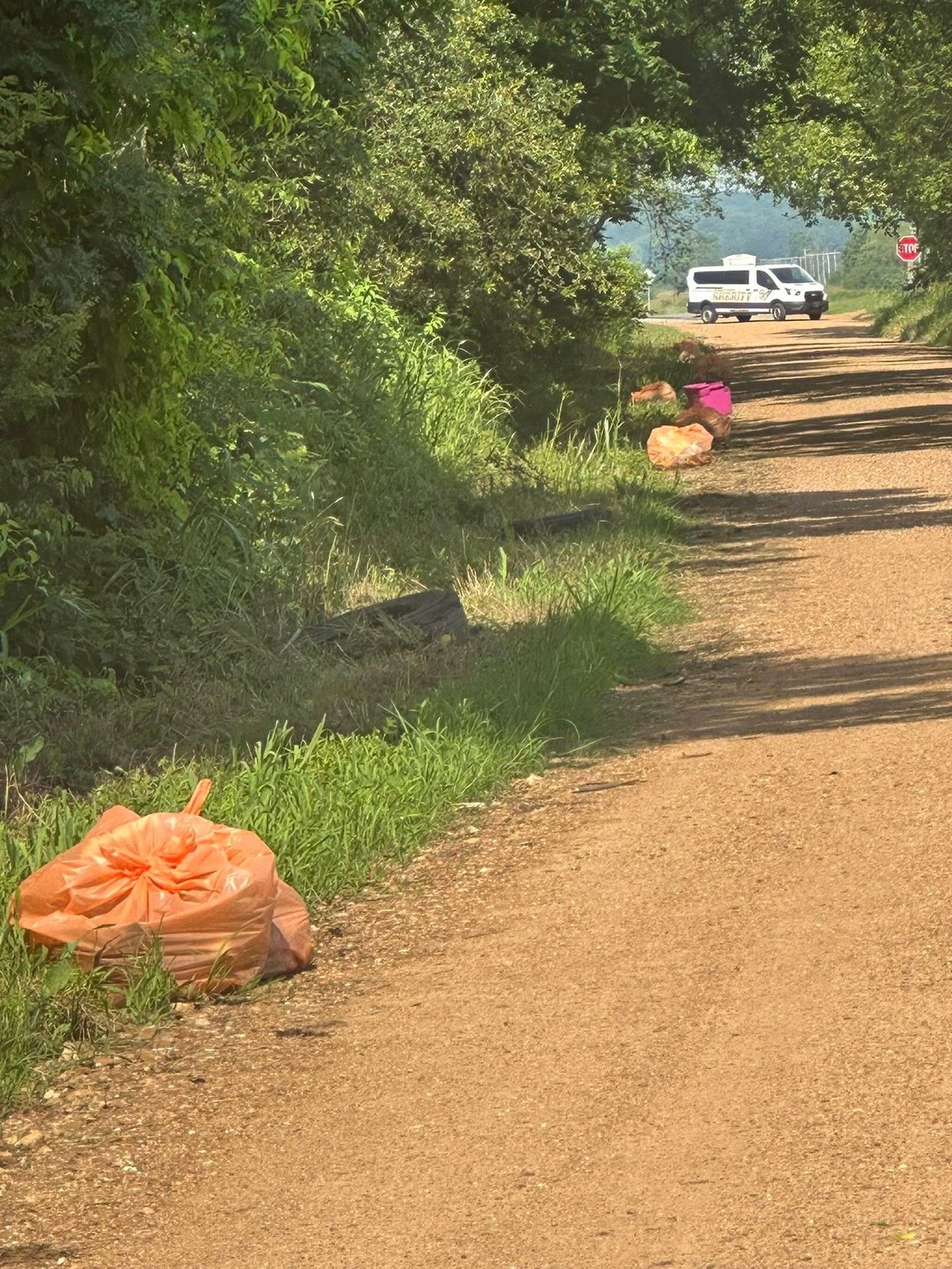 Sheriff’s Office works to keep Poinsett County clean