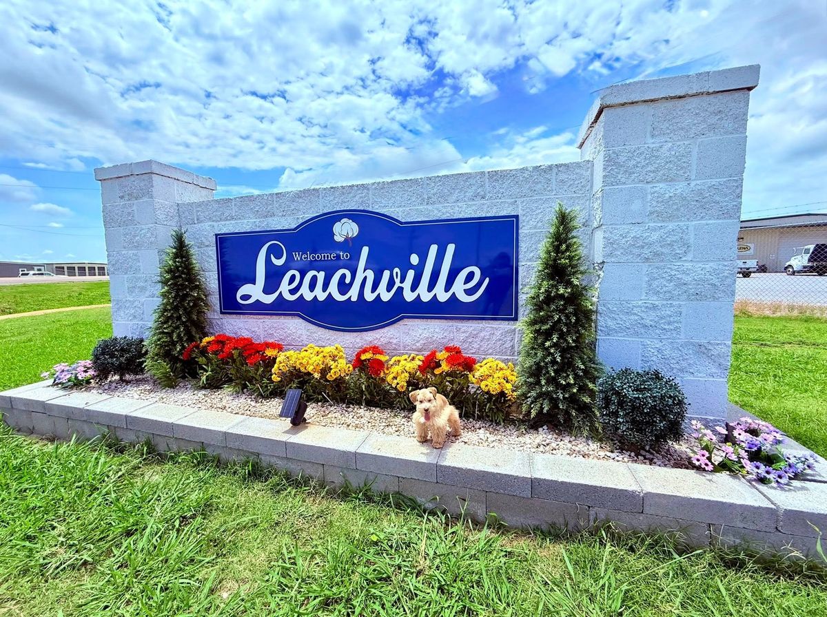 Leachville Council approves the 2026 budget/pay schedule
