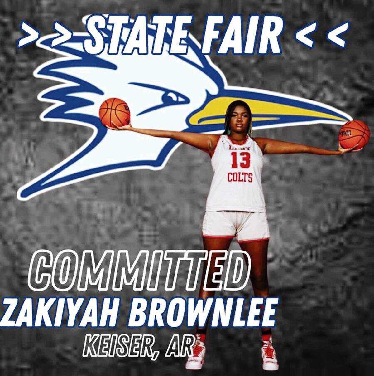 Brownlee commits to State Fair College