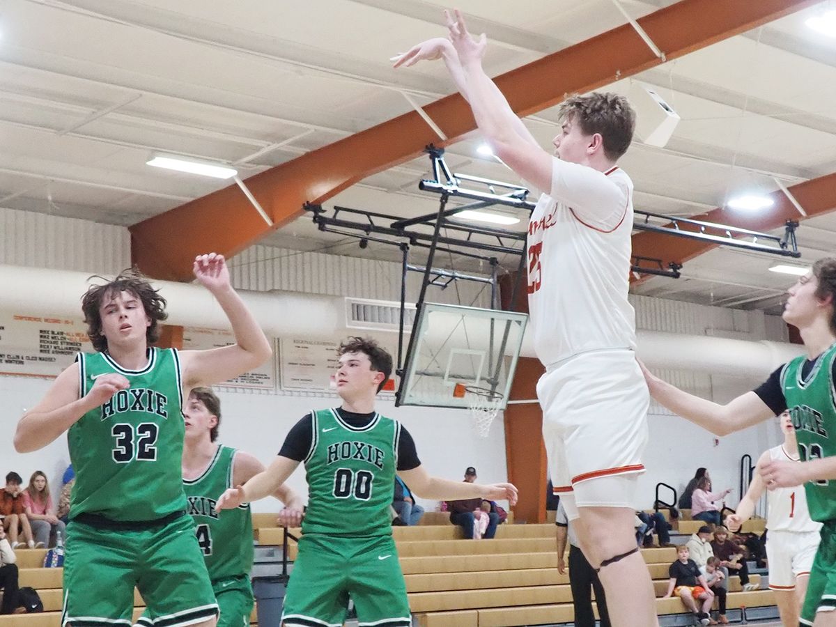Tigers Roundup…