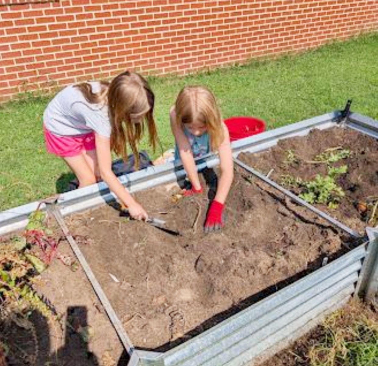 Spring Planting: Cooper named Mississippi County MG of the Year