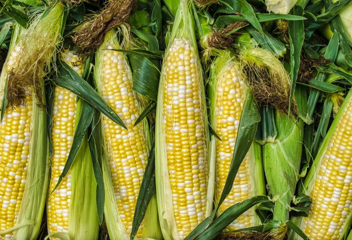 Extension agents show how to grow, prepare summer produce
