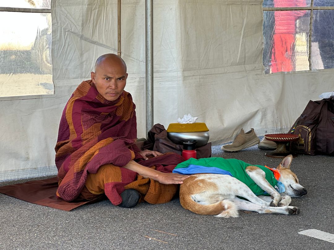 Walk for Peace: Buddhist monks stop in Selma during 2,300-mi...