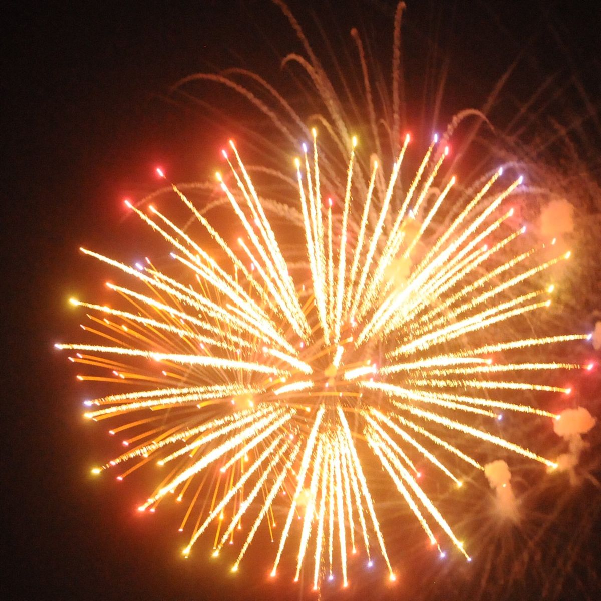 Selma, Orrville, Valley Grande set Fourth of July plans