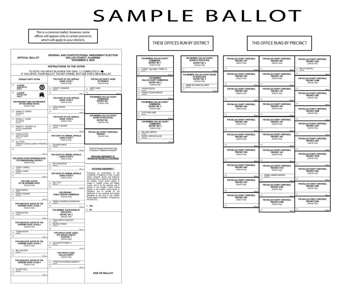 Sample ballots available for election