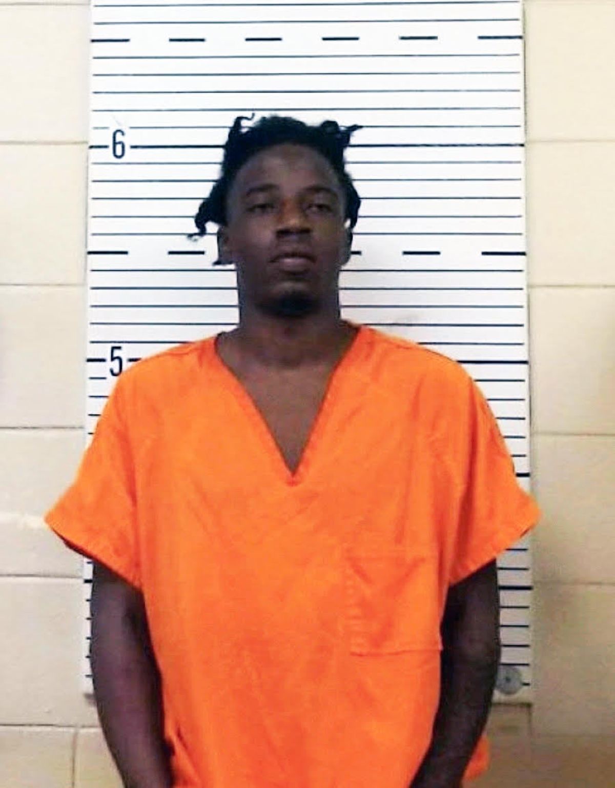 Lowndes County Sheriff's Department apprehends "dangerous in...