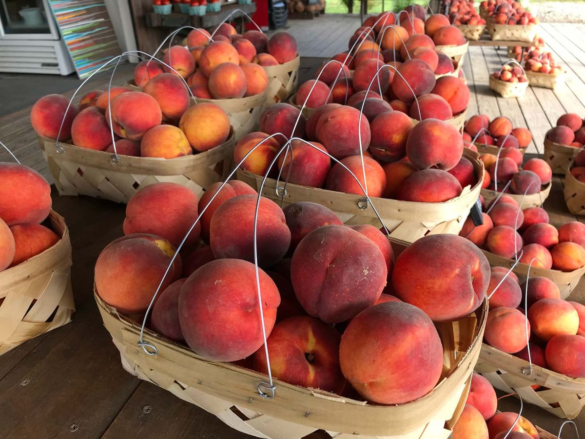 Extension Service: Enjoying farmers market safely