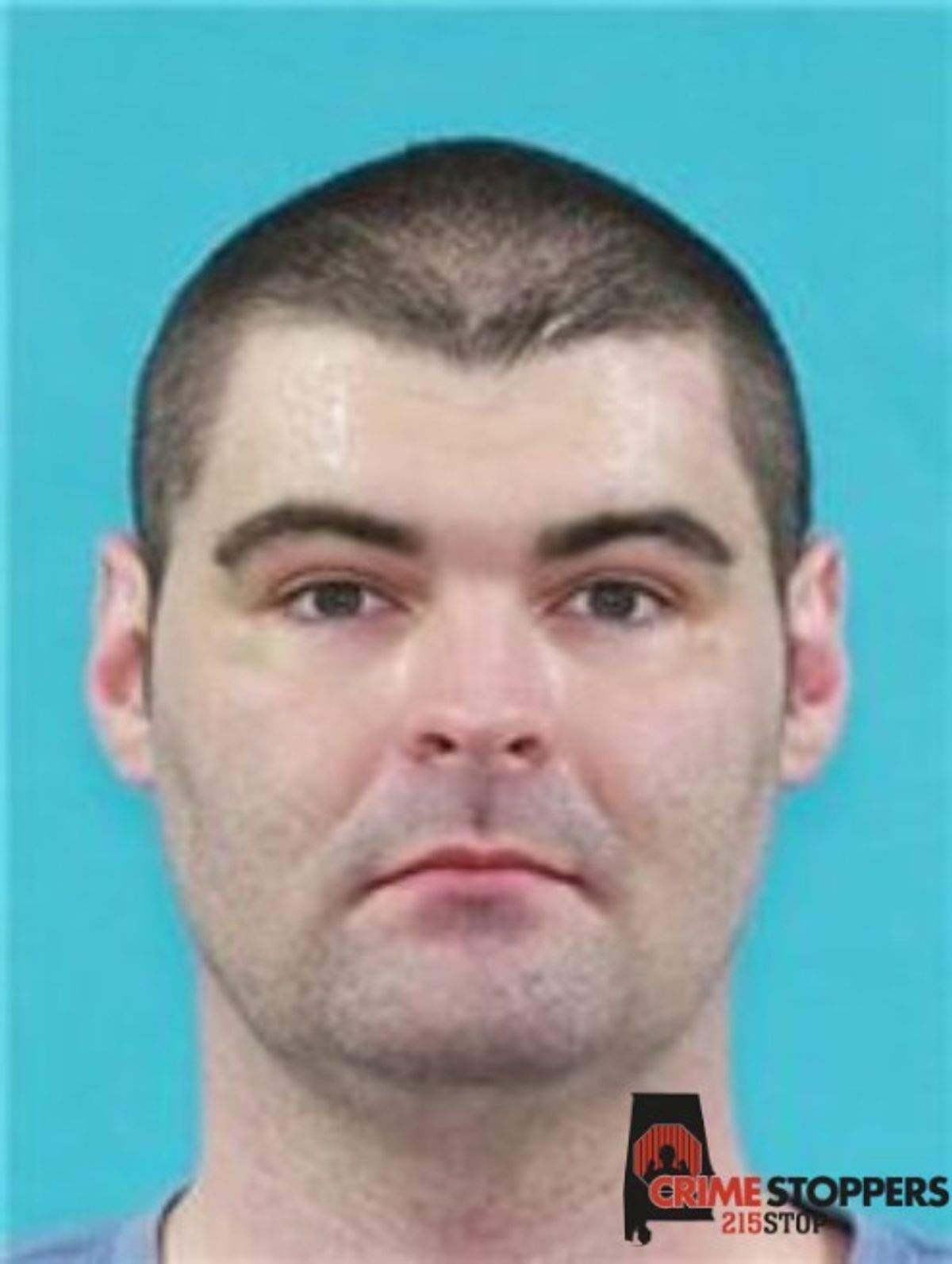 Police seeking public's help to find wanted child sex offend...