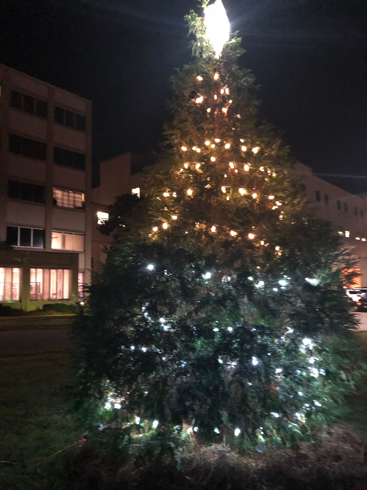 Vaughan Regional holds annual tree lighting ceremony