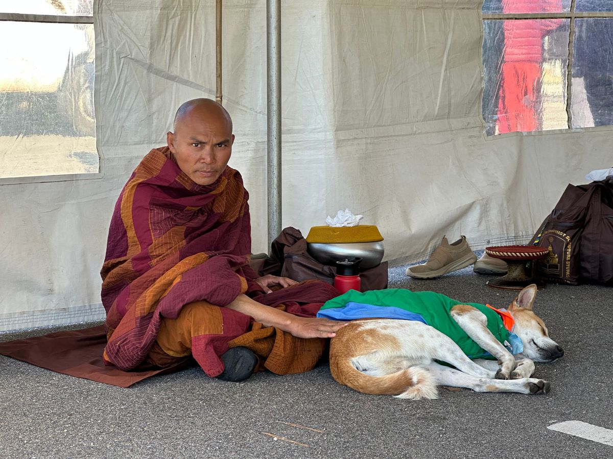 Walk for Peace: Buddhist monks stop in Selma during 2,300-mile trek to...