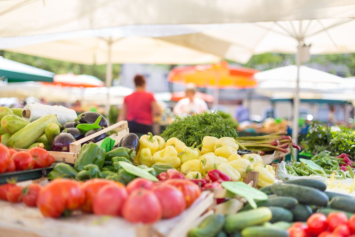 Apply now for the 2026 Senior Farmers Market Nutrition Progr...