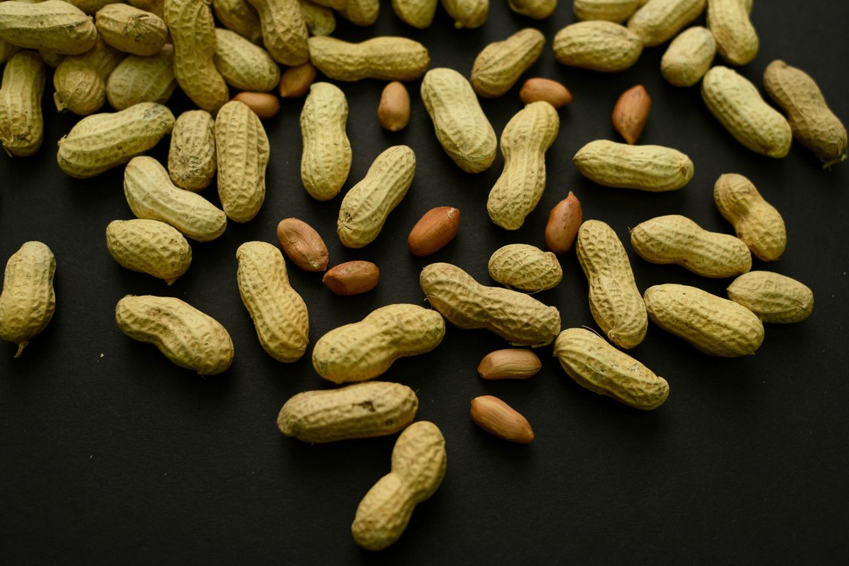 Advice to feed babies peanuts early and often helped 60,000 kids avoid...