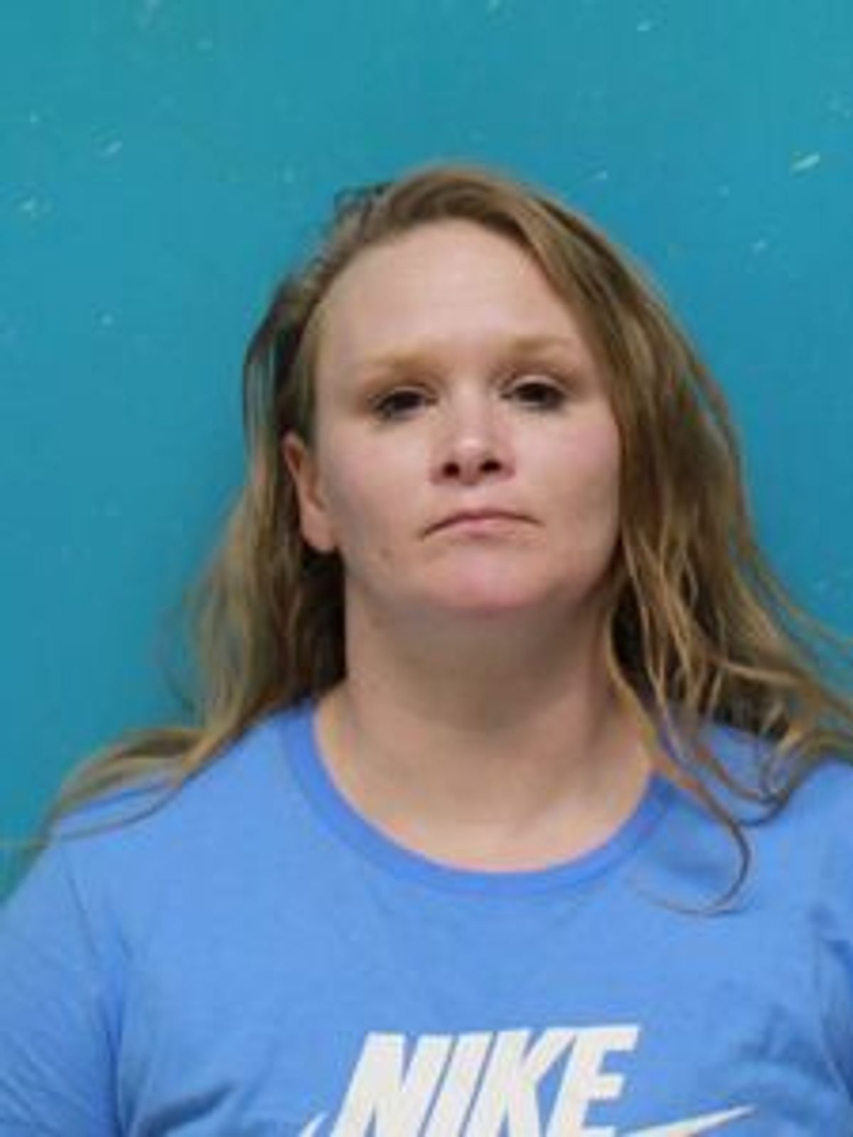 Illinois woman faces multiple charges after alleged theft, a...