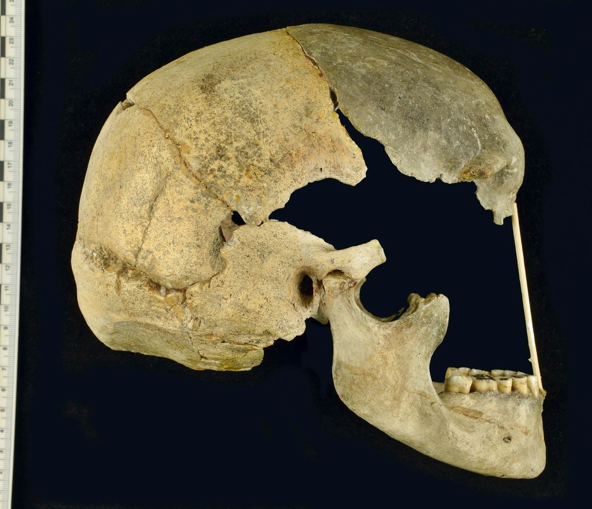 Ancient genes pinpoint when humans and Neanderthals mixed an...